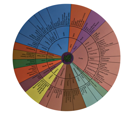 The Wine Aroma Wheel Official Website