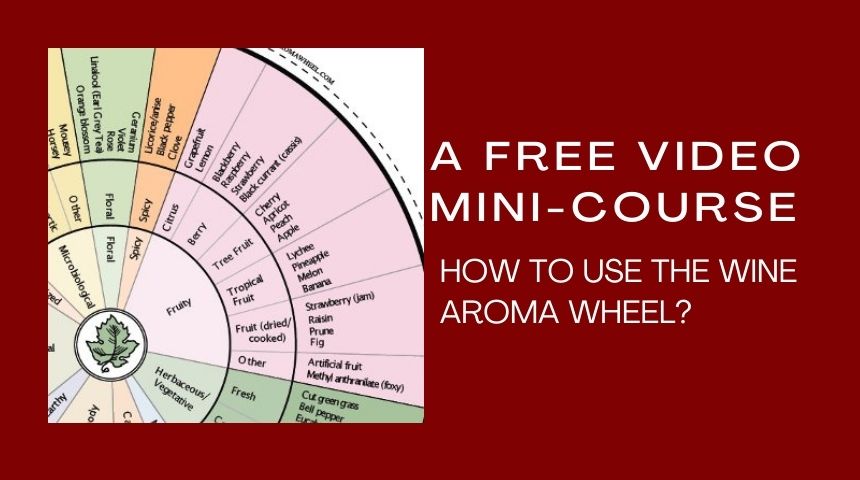 The Wine Aroma Wheel Official Website